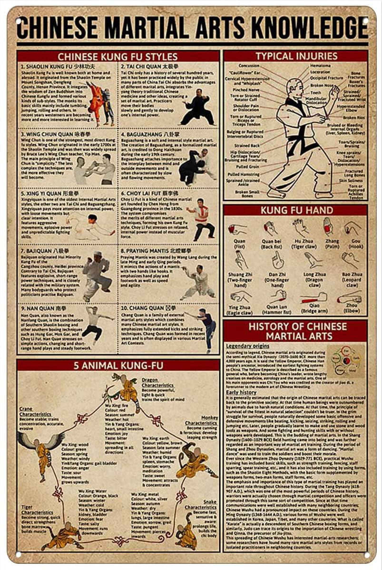 Wnnyof Retro Metal Tin Sign 8 X 12 Inches Chinese Martias Knowledge ...