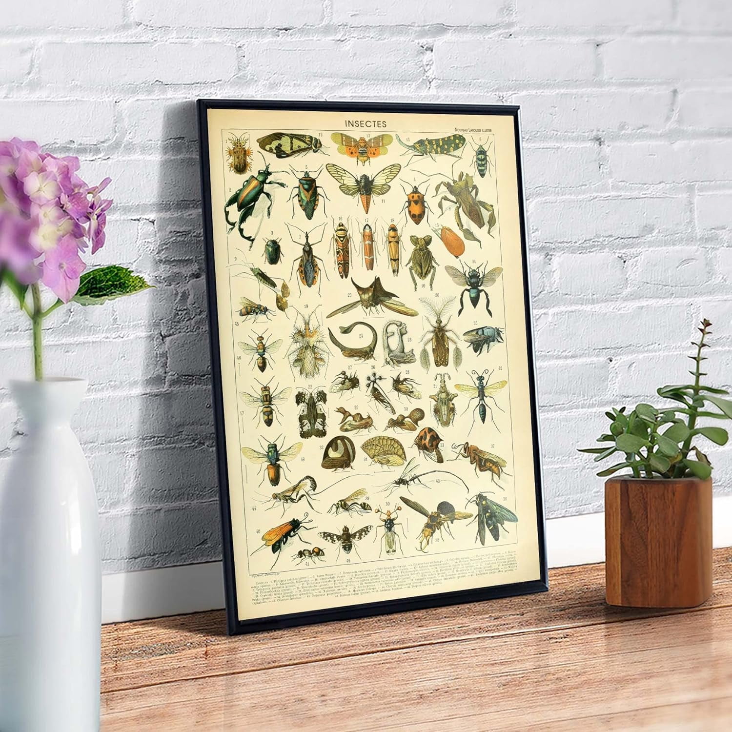 Wnnyof Retro Metal Tin Sign 8 X 12 Inches Insect Antique Adolphe-Millot ...