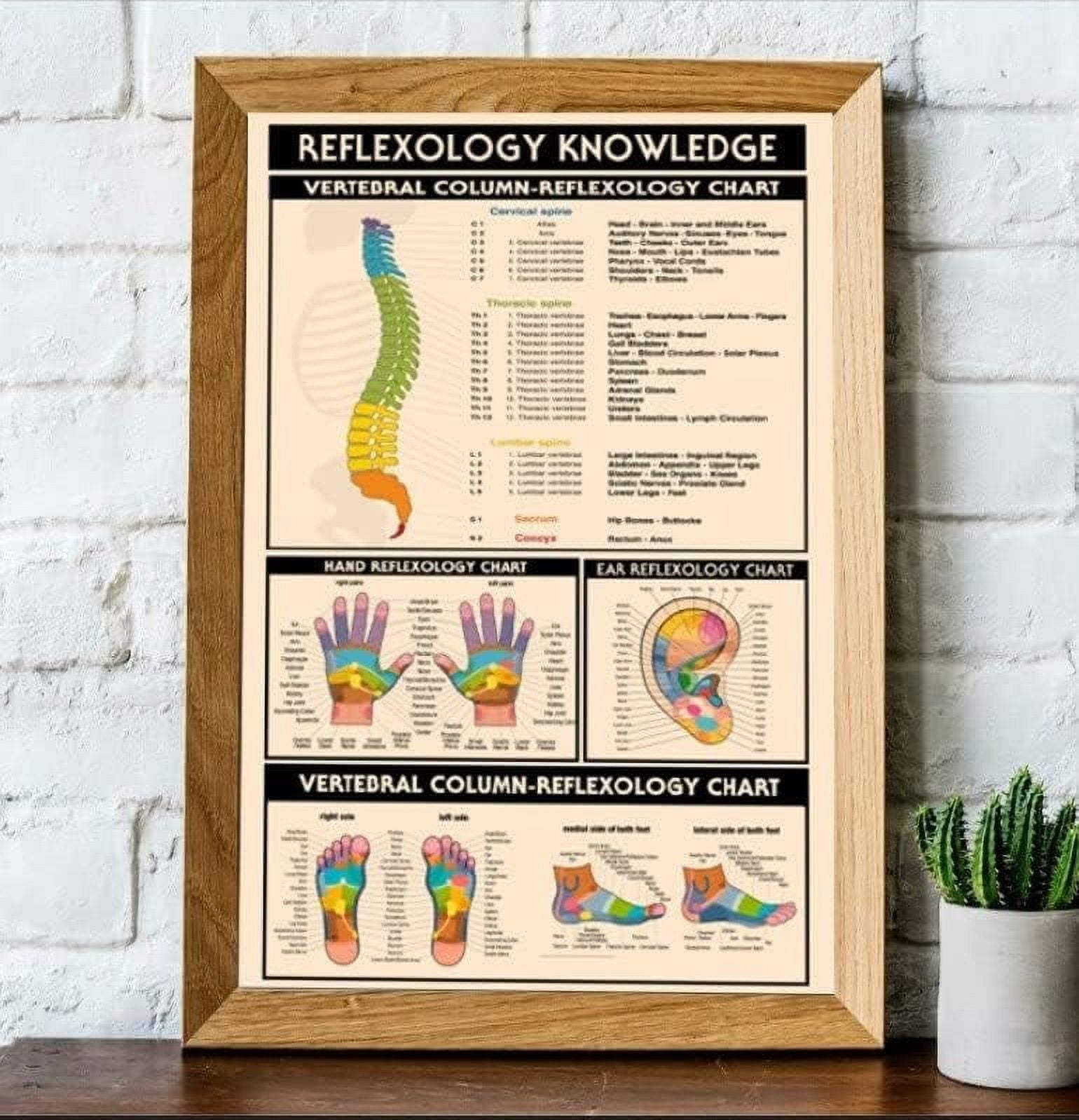 Wnnyof Retro Metal Tin Sign 8 X 12 Inches Reflexology Knowledge ...