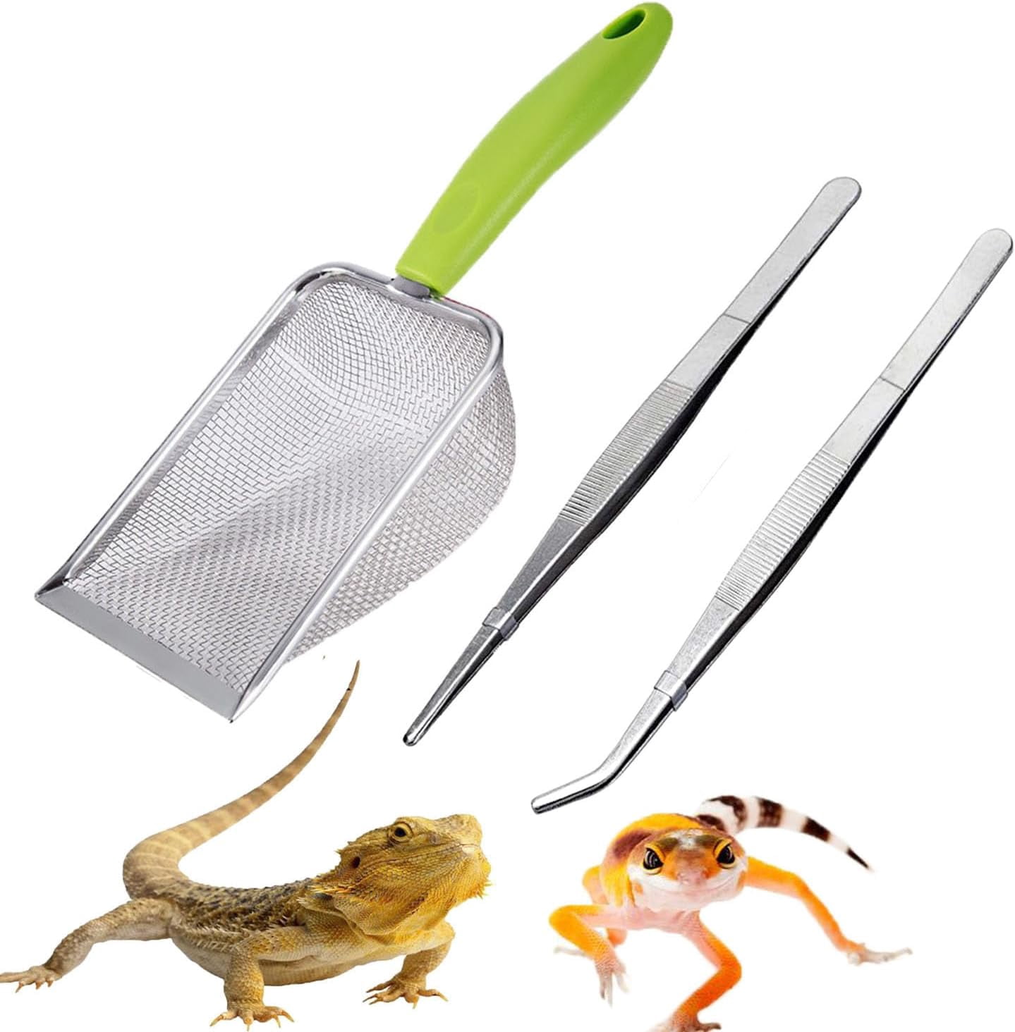 WoYous Reptile Sand Substrate Scoop Reptile Sand Fine Mesh Reptile ...