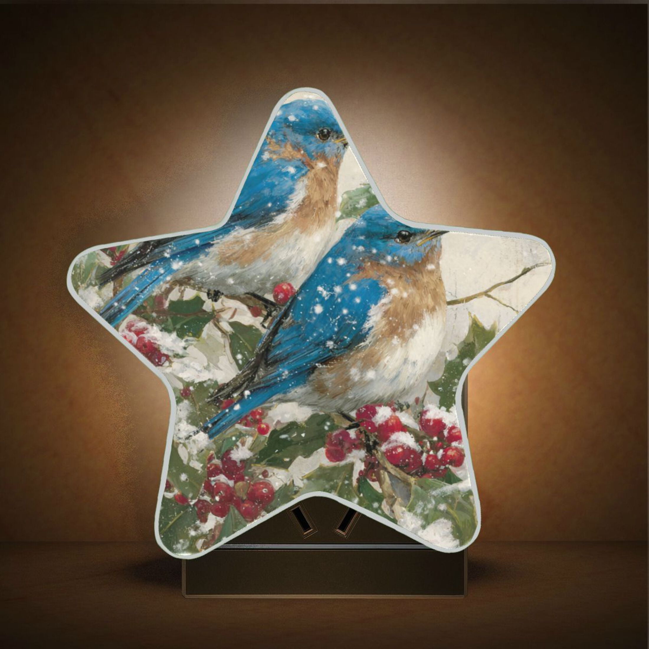 Wobogo Blue Birds LED Star Night Light 0.2 Watt Wall Plug Dusk to Dawn ...