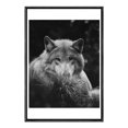 Wolf Canvas Double Framed Wall Art Wildlife Animal Forest Nature Rustic ...