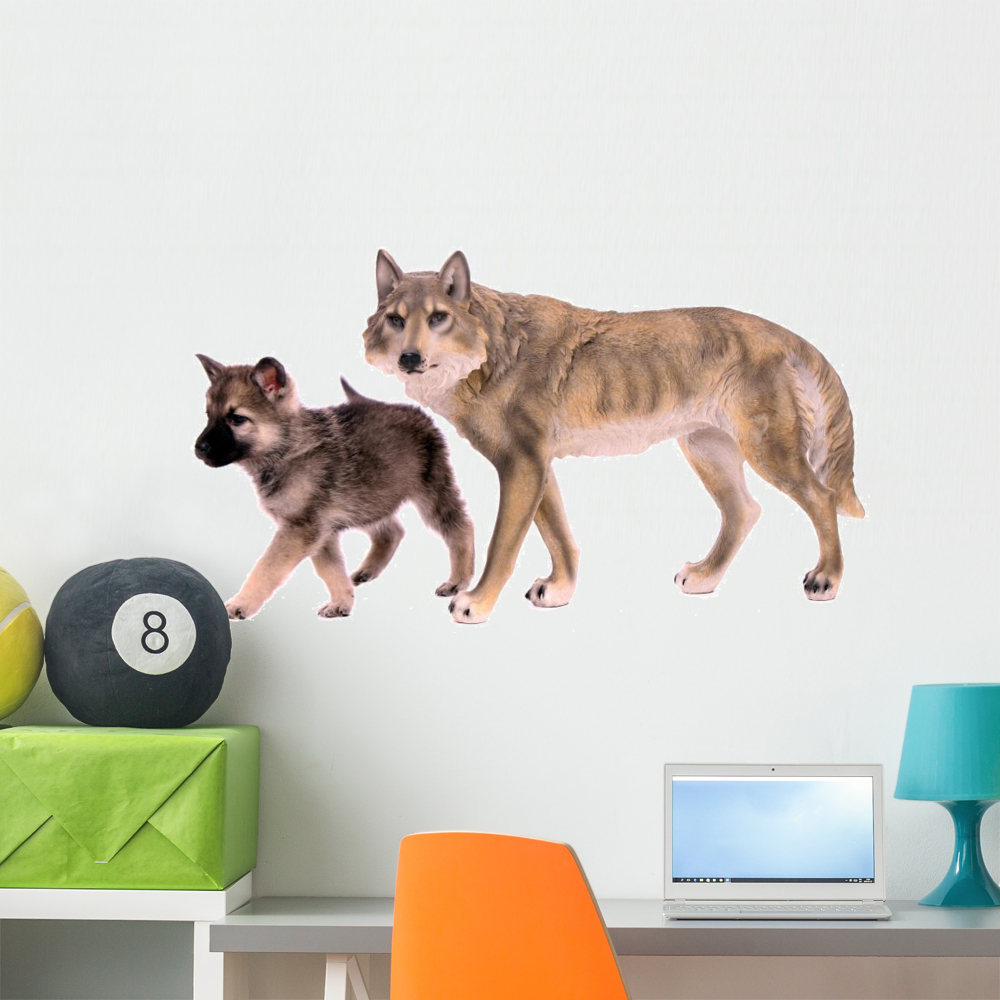 Wolf Dog Puppy with Wall Mural by Wallmonkeys Peel and Stick Graphic ...