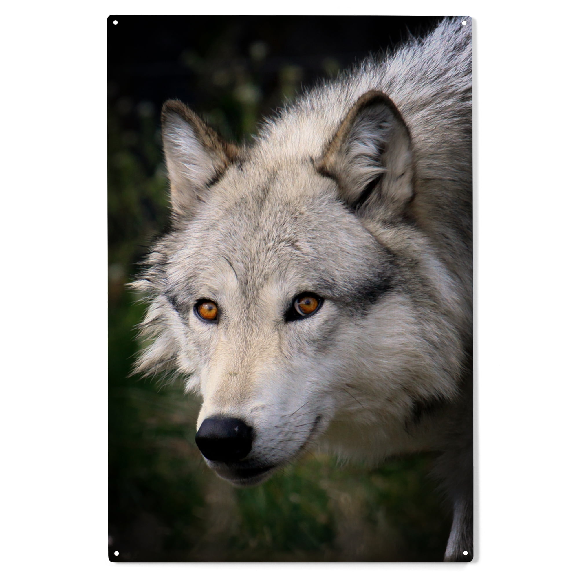 Wolf Face Birch Wood Wall Sign (10x15 Rustic Home Decor, Ready to Hang ...