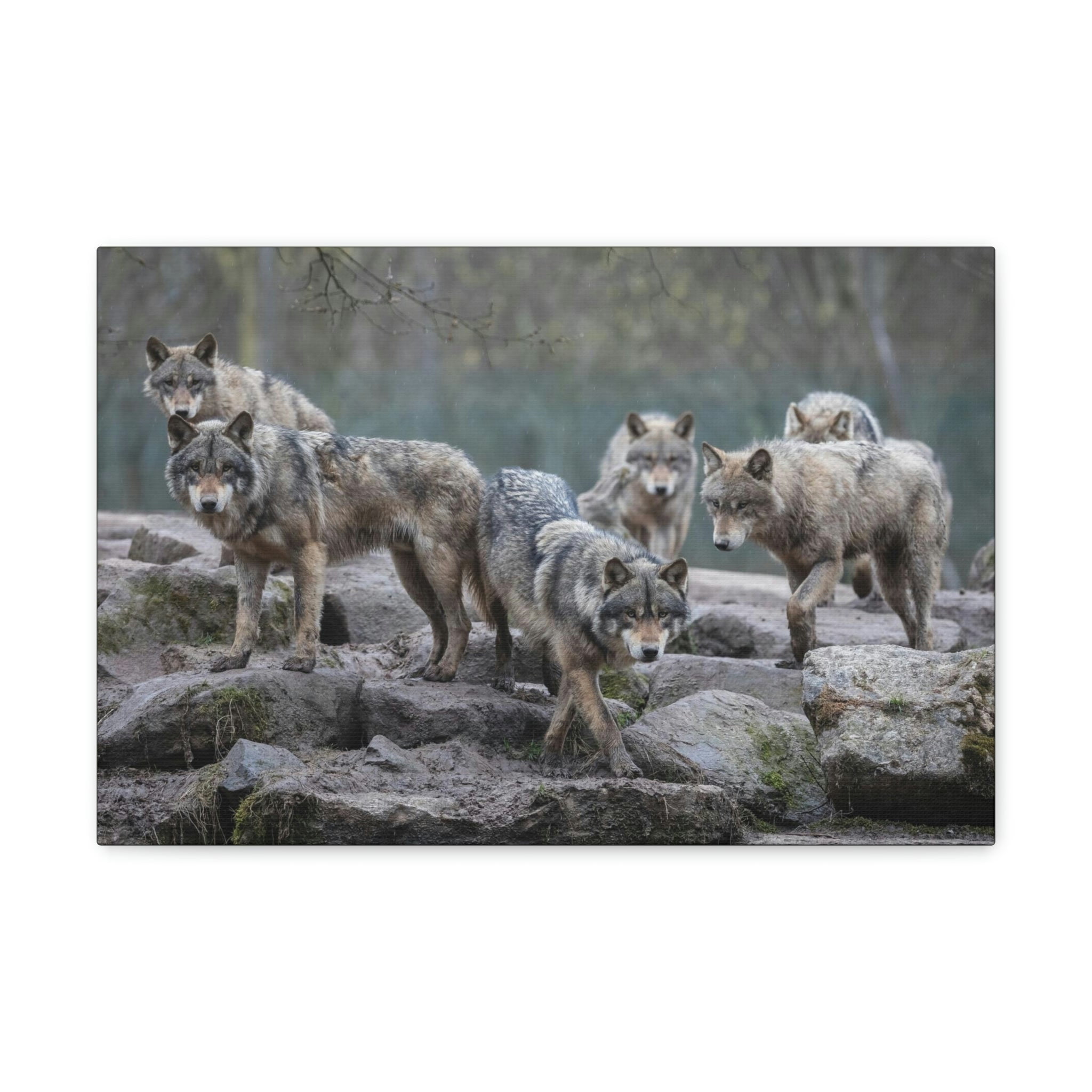 Wolf Group Wolf Troop Print Animal Wall Art Wildlife Canvas Prints Wall ...