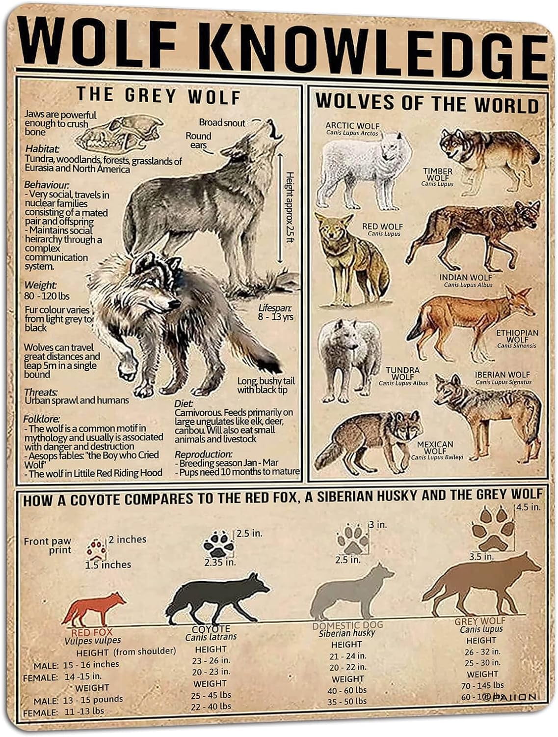 Wolf Knowledge Metal Tin Signs Retro Poster Plaque Metal Tin Sign 8x12 Inches - Walmart.com