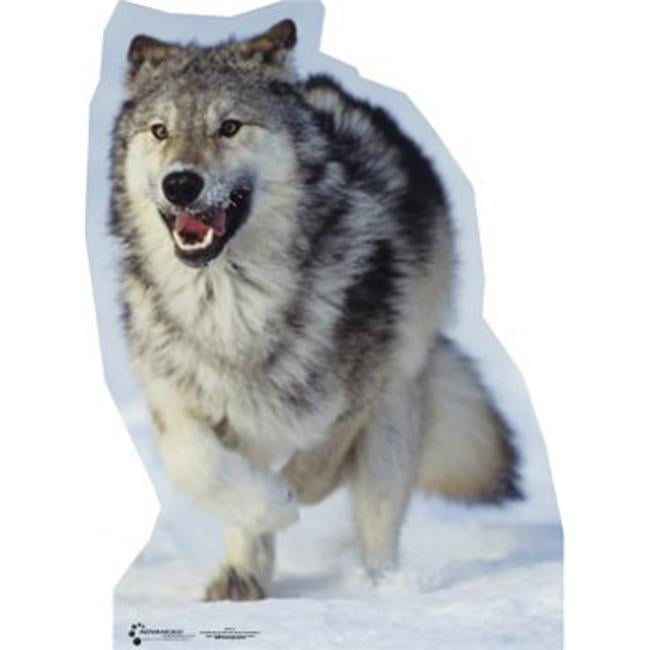 Wolf Life-Size Cardboard Stand-Up - Walmart.com