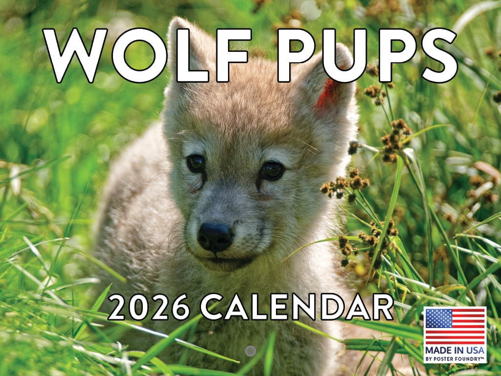 Wolf Pup Calendar 2026 Baby Wolves Monthly Wall Calender 12 Month ...