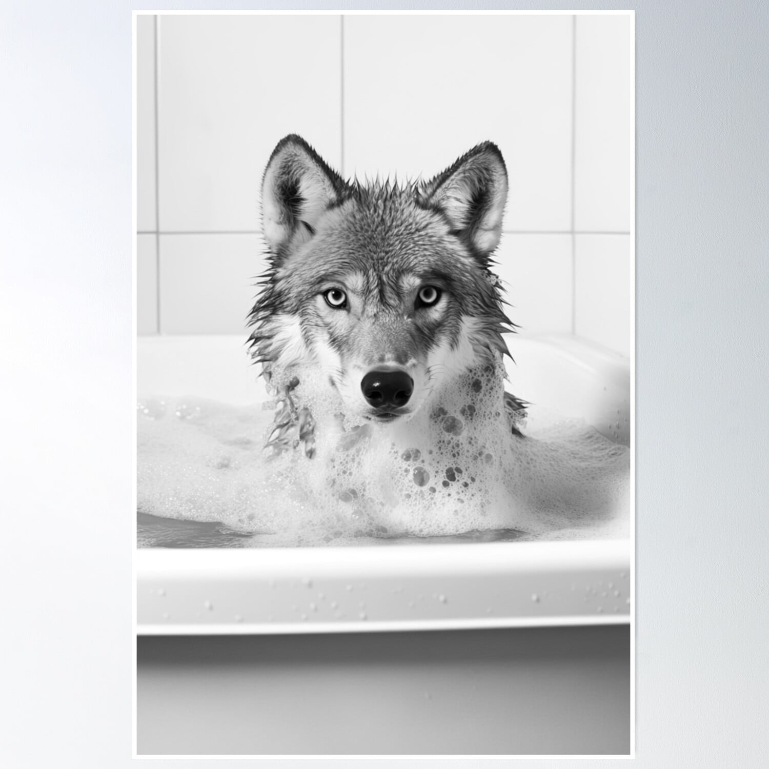 Wolf Taking A Bath, Funny Vintage Animal Photo Poster Wall Art, Modern ...