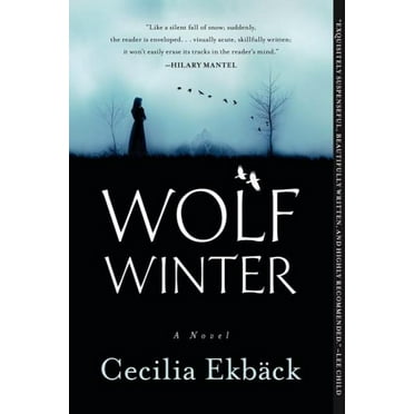 Ccsp for Dummies with Online Practice (Paperback) - Walmart.com