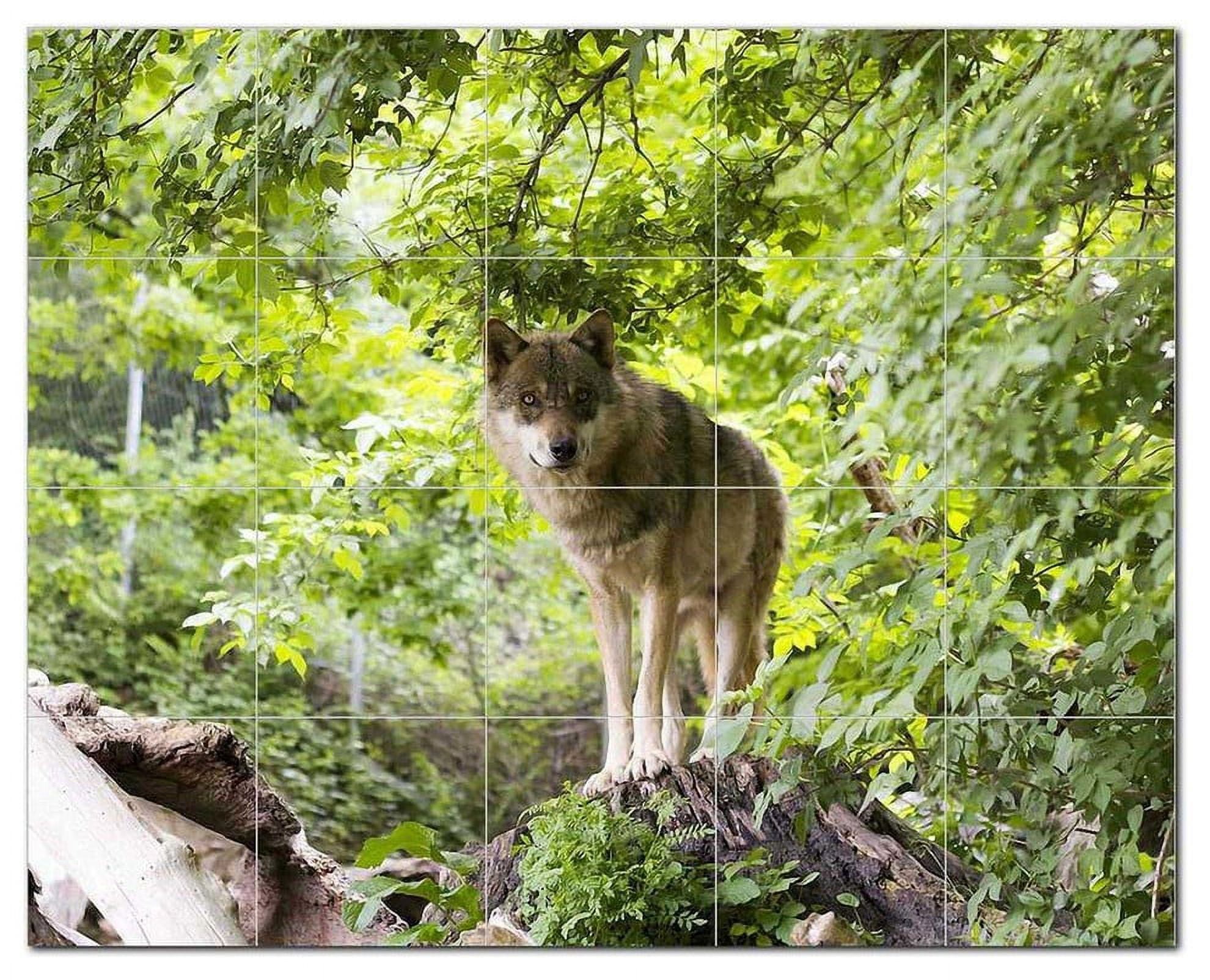 Wolf Wolves Ceramic Tile Mural Kitchen Backsplash Bathroom Shower ...