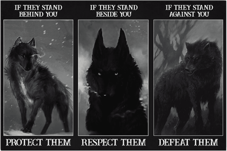 Wolf if they stand protect them if they stand beside you respect them ...