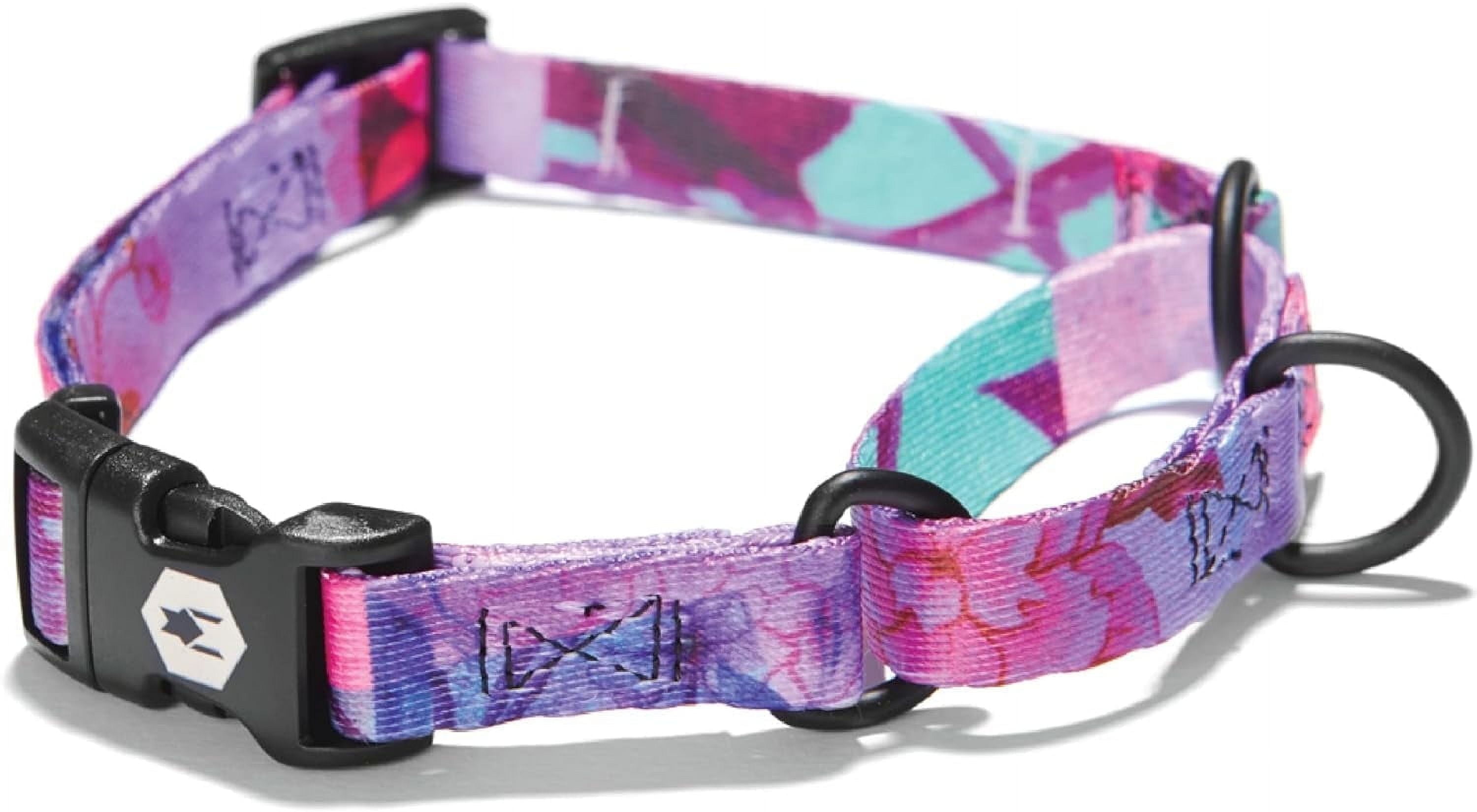 Wolfgang Martingale Collar for Dogs Walking & Training Dog Collar for ...