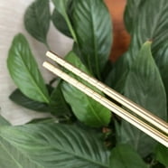 My Hero Academia Midoriya & Bakugo Bamboo Chopsticks Set | Includes 2 ...