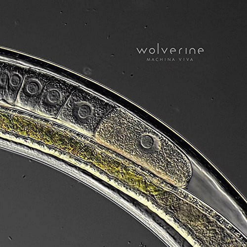 Wolverine - Machina Viva - Music & Performance - CD - Walmart.com