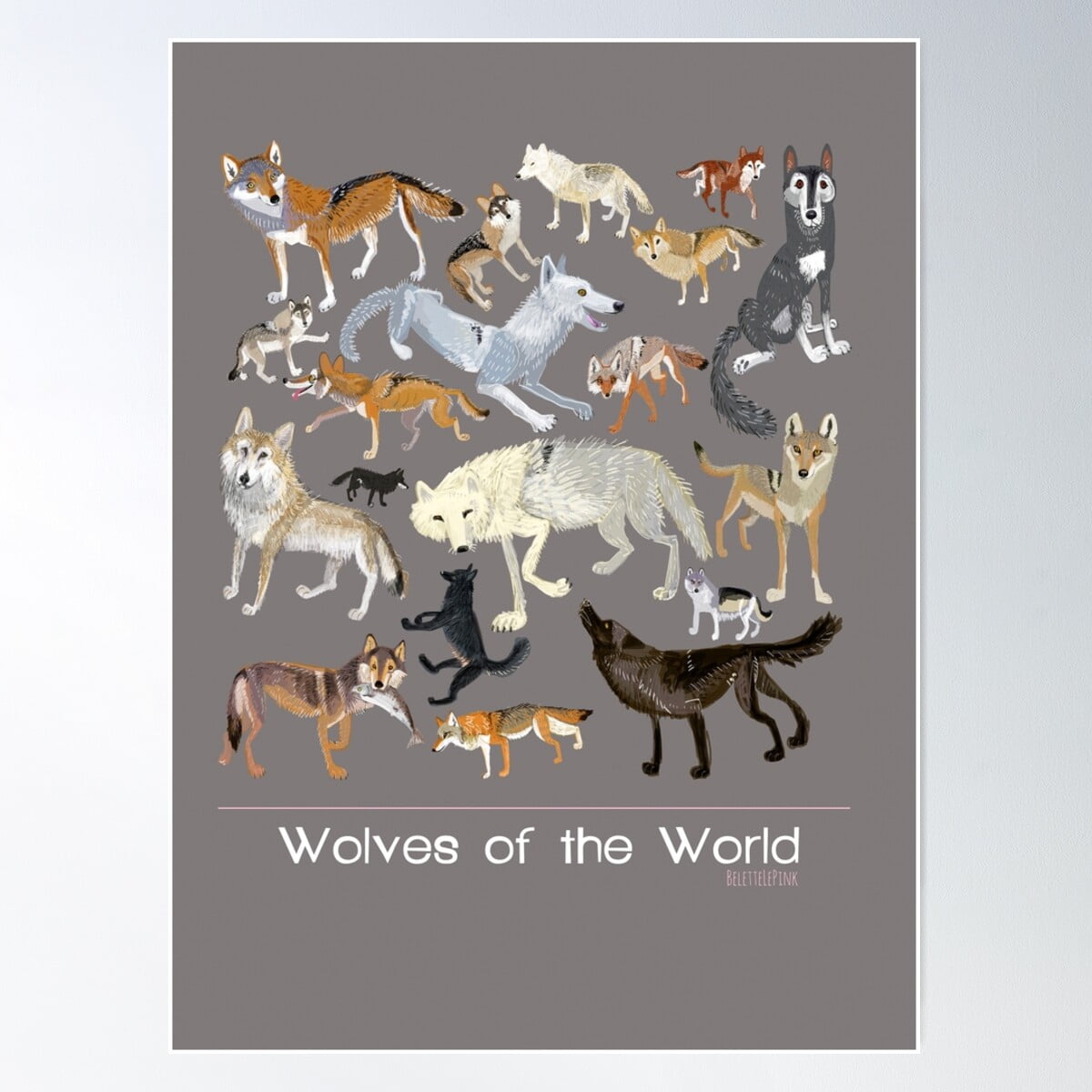 Wolves Of The World (Poster) Poster Wall Art, Modern Wall Decor For ...