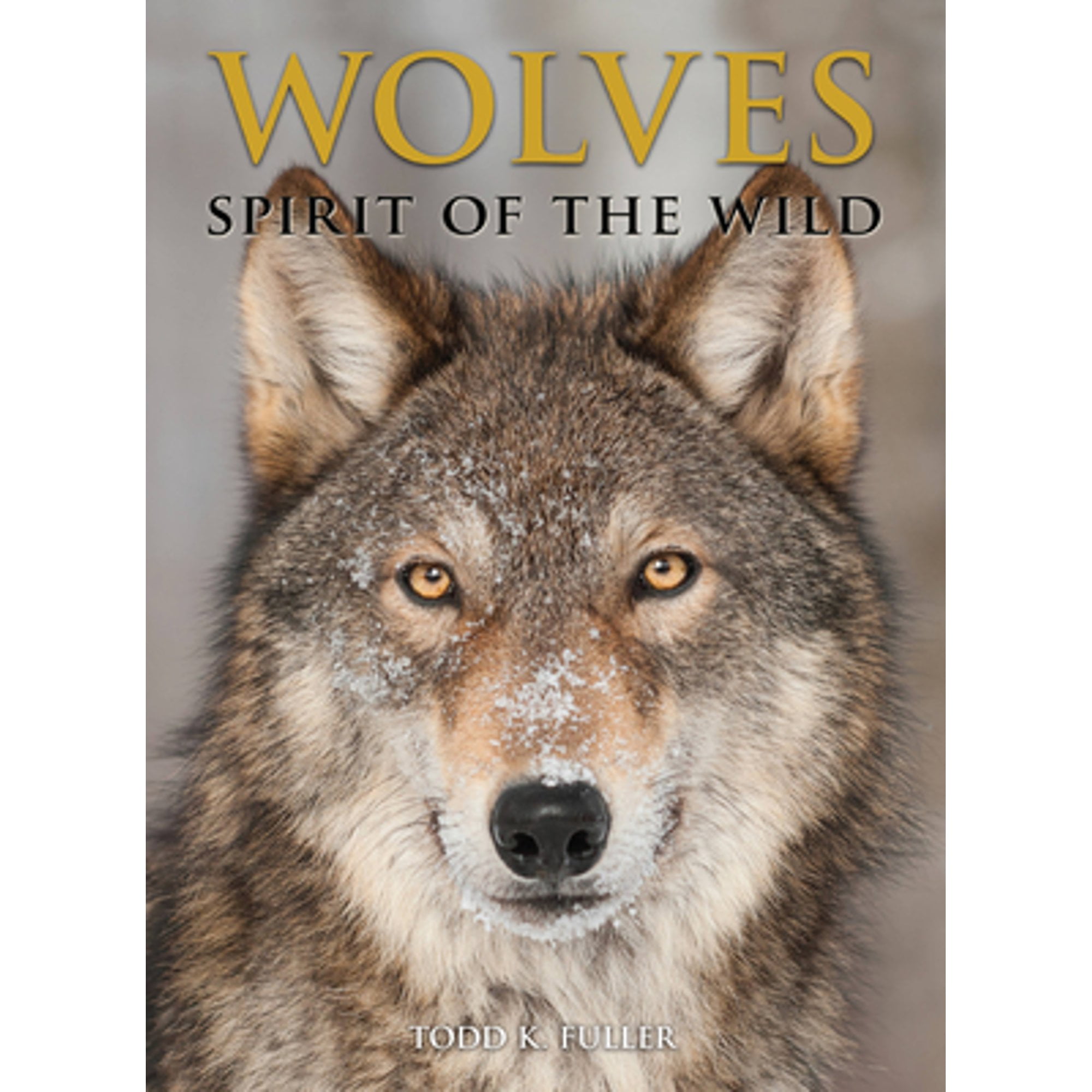 Pre-Owned Wolves: Spirit of the Wild Hardcover Todd K. Fuller - Walmart.com
