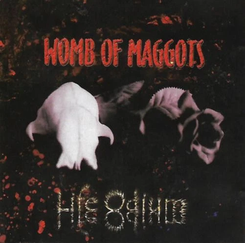 Womb Of Maggots Life Odium (Cd) Album - Walmart.com