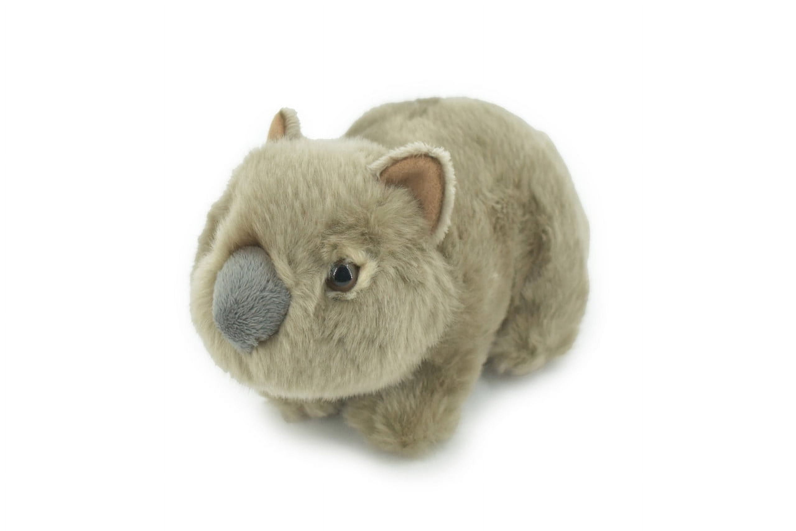 Wombat, Marsupials, Australia, Stuffed Animal, Plush, Educational ...