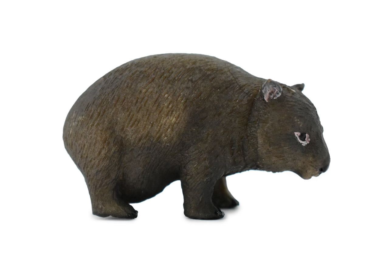 Wombat, Museum Quality, Hand Painted, Rubber Marsupials, Realistic Toy ...