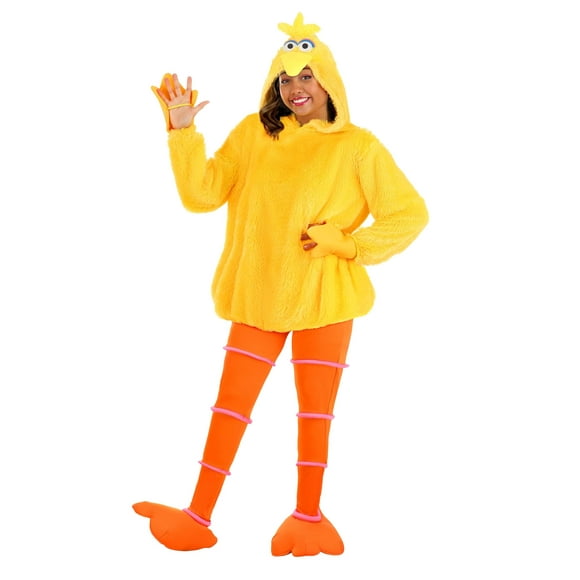 Big Bird Costume