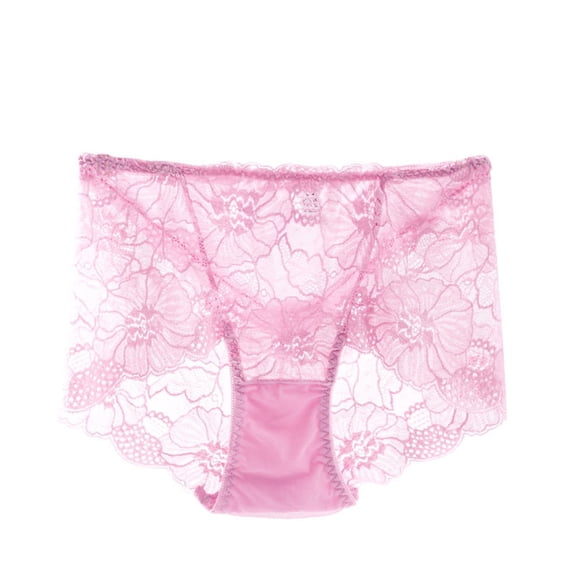 Women's Full Coverage Retro Lace Panties - French Style Comfort ...