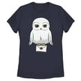 Women's Harry Potter Cartoon Hedwig Letter Graphic Tee Navy Blue Small ...