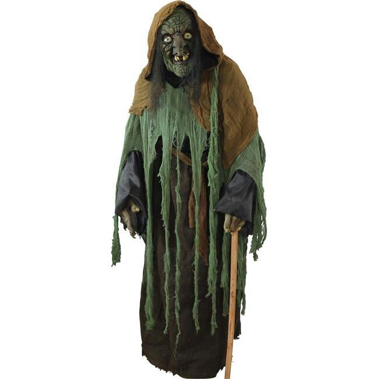 Women's Lady of the Swamp Witch Costume by Medieval Collectibles ...