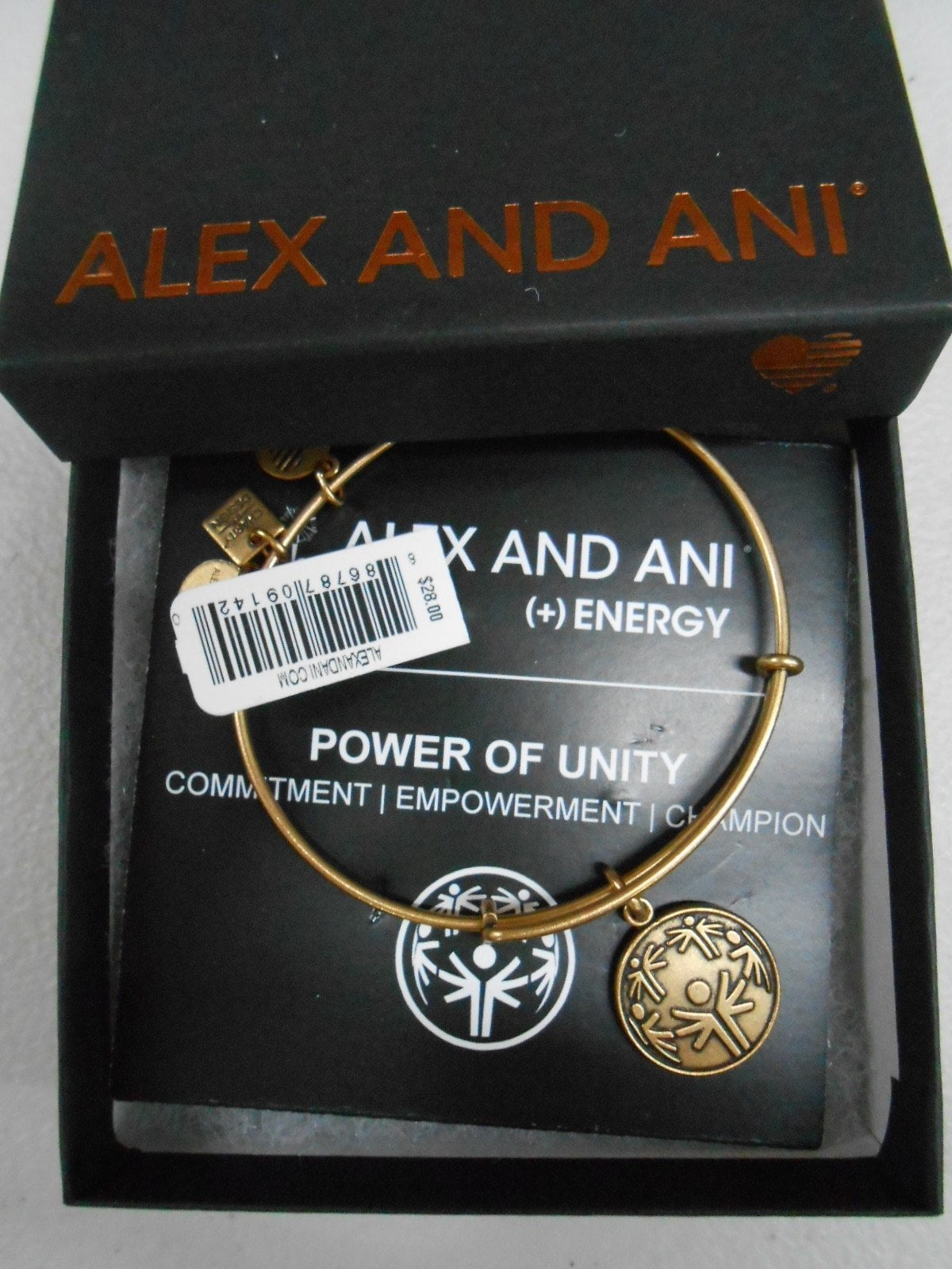 Women's Power Of Unity Rafaelian Gold Charm Bracelet - Walmart.com