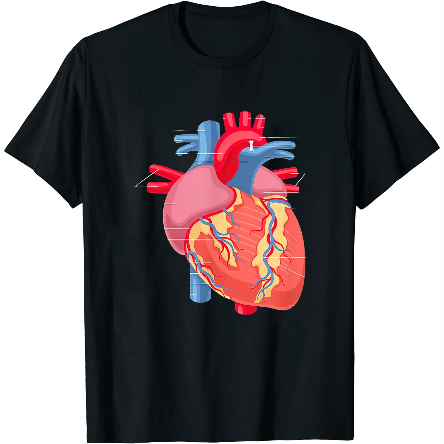 Womens Funny Human Heart Anatomical Anatomy Of Heart Graphic T-Shirt ...