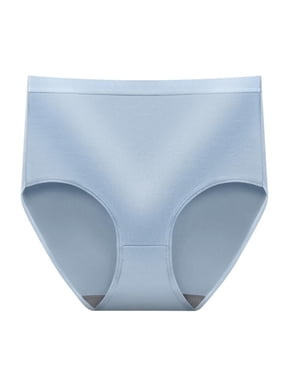 Women's Shadowline 17032 Hidden Elastic Nylon Classic Brief Panty ...