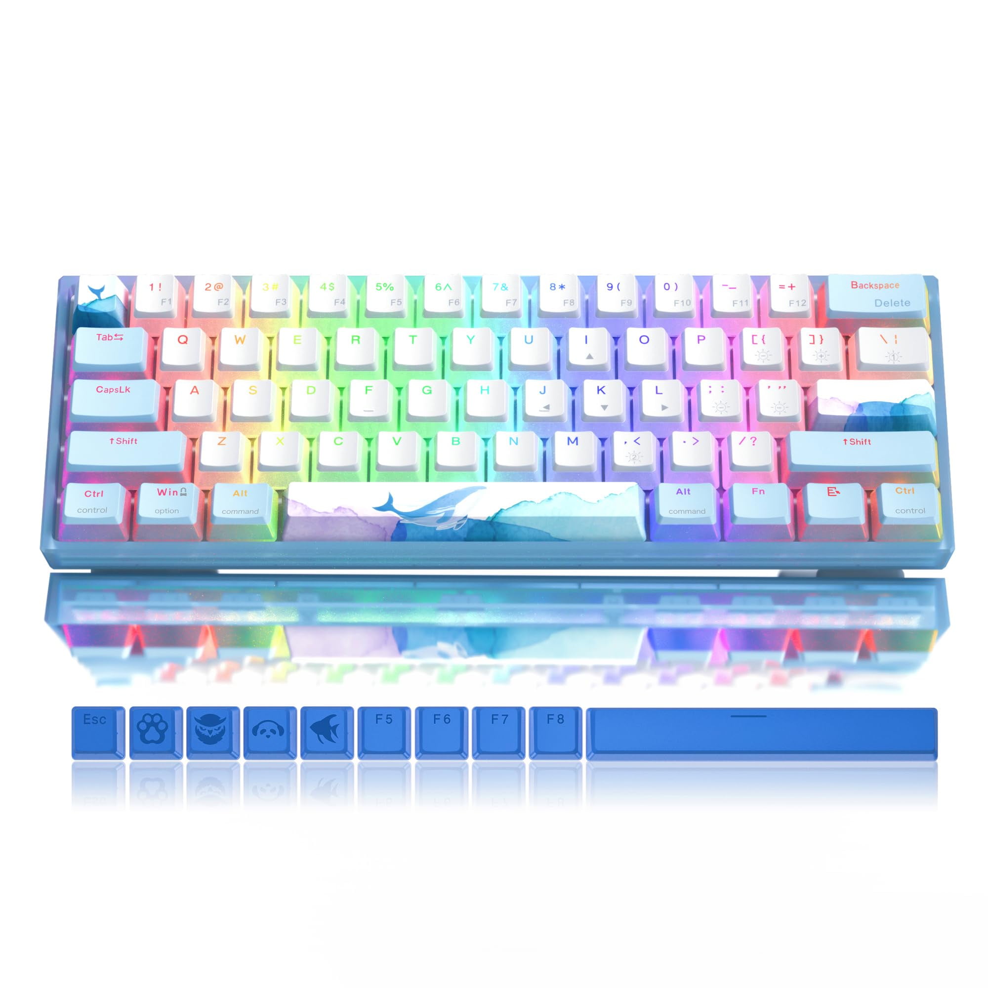 Womier 60% Percent Keyboard, WK61 Mechanical RGB Wired Gaming Keyboard ...