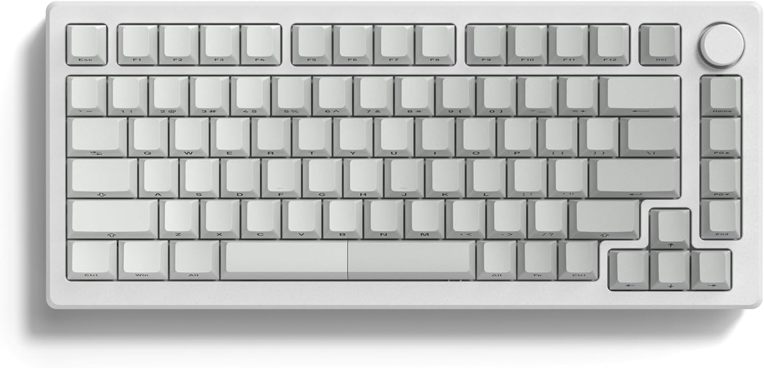 Womier Shine Through - PBT keycaps,Side printed keyboard keycaps 75 ...