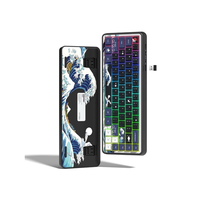 Womier WK60 60% Keyboard, Wireless Mechanical Gaming Keyboard, Kanagawa ...