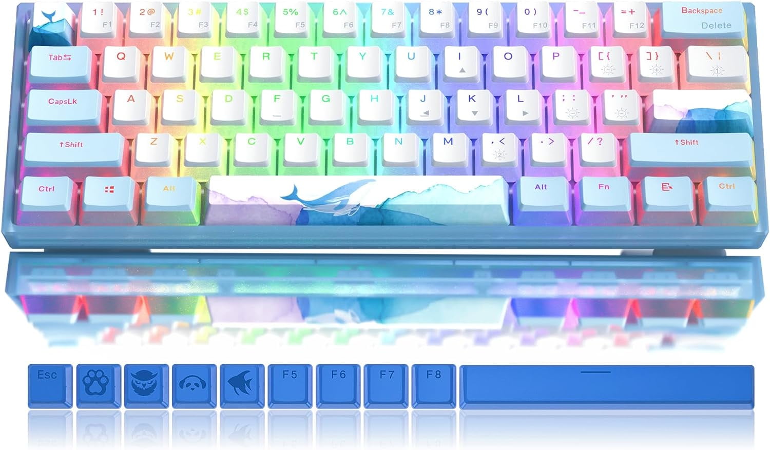 Womier WK61 Wired Mechanical Keyboard with Backlit Swappable Switch ...