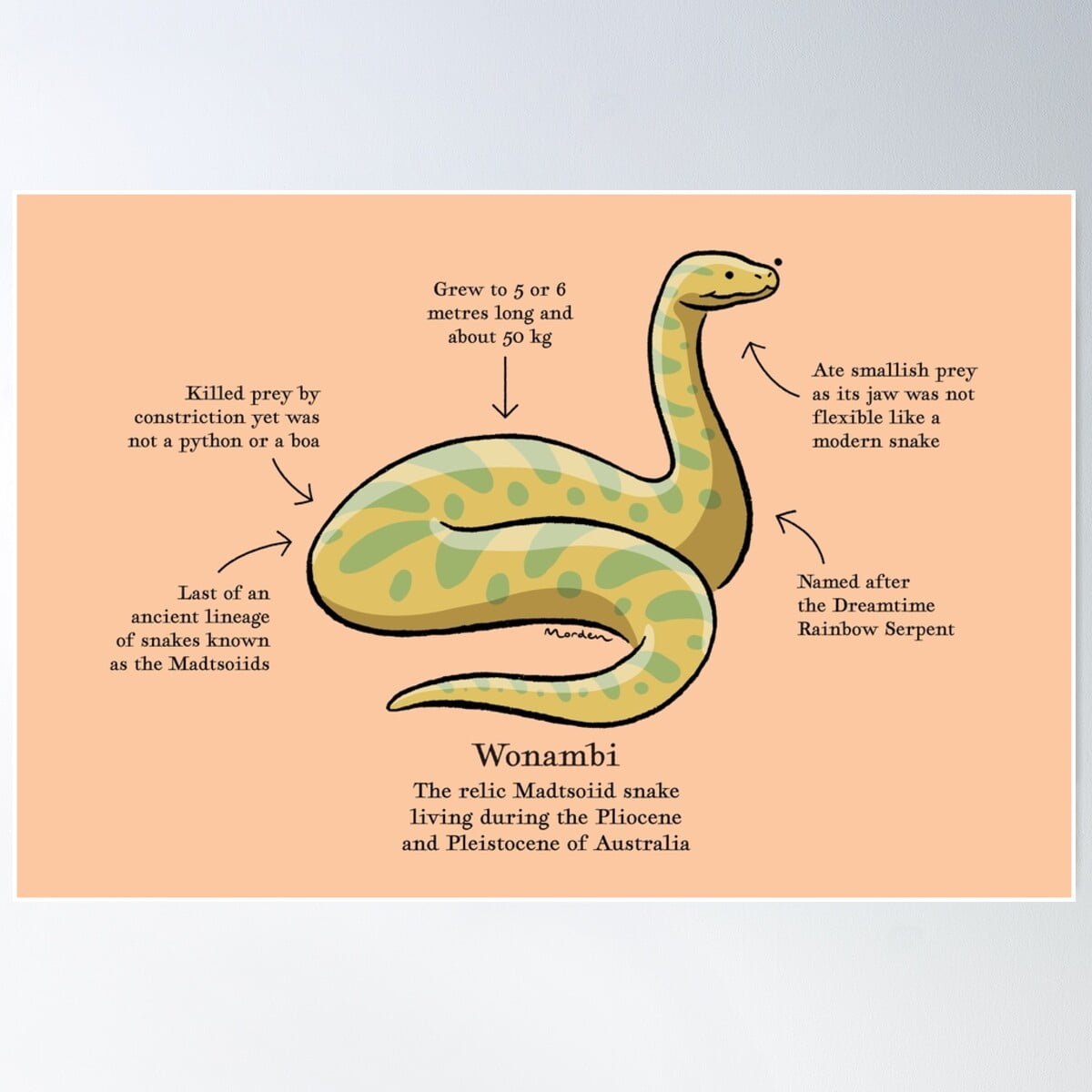 Wonambi The Giant Snake Of Prehistoric Australia Poster Wall Art, Modern Wall Decor For Living ...
