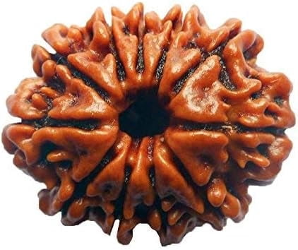 Wonder Care - Original Nepali Rudraksha Bead/Rudraksha Bead Natural ...