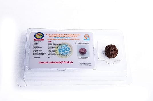 Wonder Care - Original Nepali Rudraksha Bead/Rudraksha Bead Natural ...