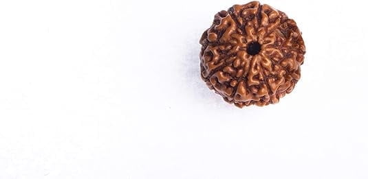 Wonder Care - Original Nepali Rudraksha Bead/Rudraksha Bead Natural ...