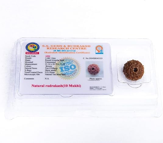 Wonder Care - Original Nepali Rudraksha Bead/Rudraksha Bead Natural ...