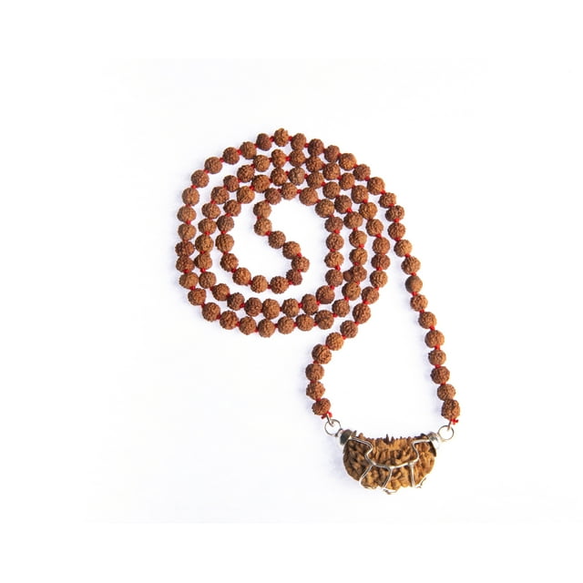 Wonder Care - Original Nepali Rudraksha Bead/Rudraksha Bead Natural ...