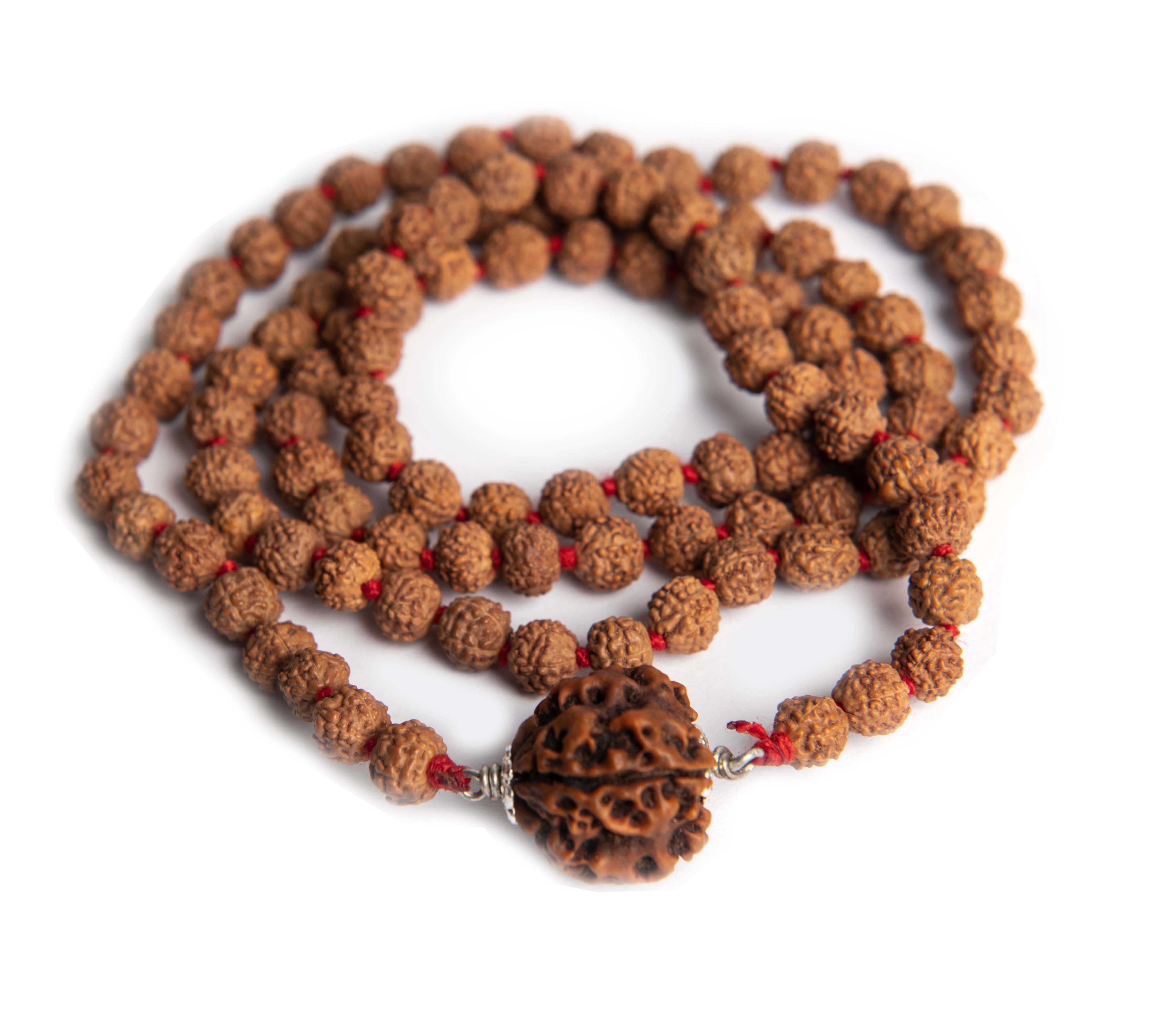 Wonder Care Rudraksh Mala-4face- Himalayan Rudraksha Seeds Ornament ...