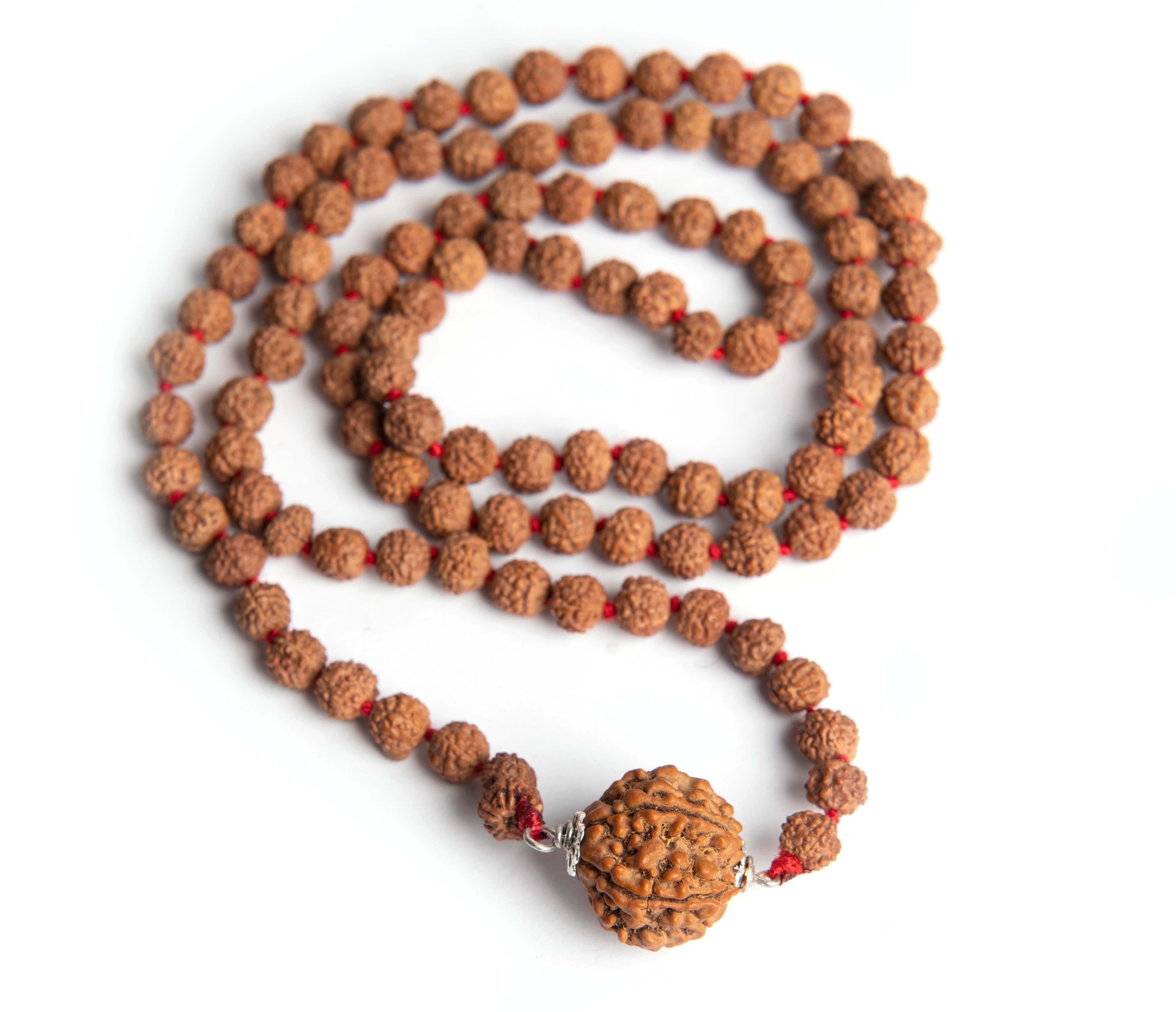 Wonder Care Rudraksh Mala-5face- Himalayan Rudraksha Seeds Ornament ...