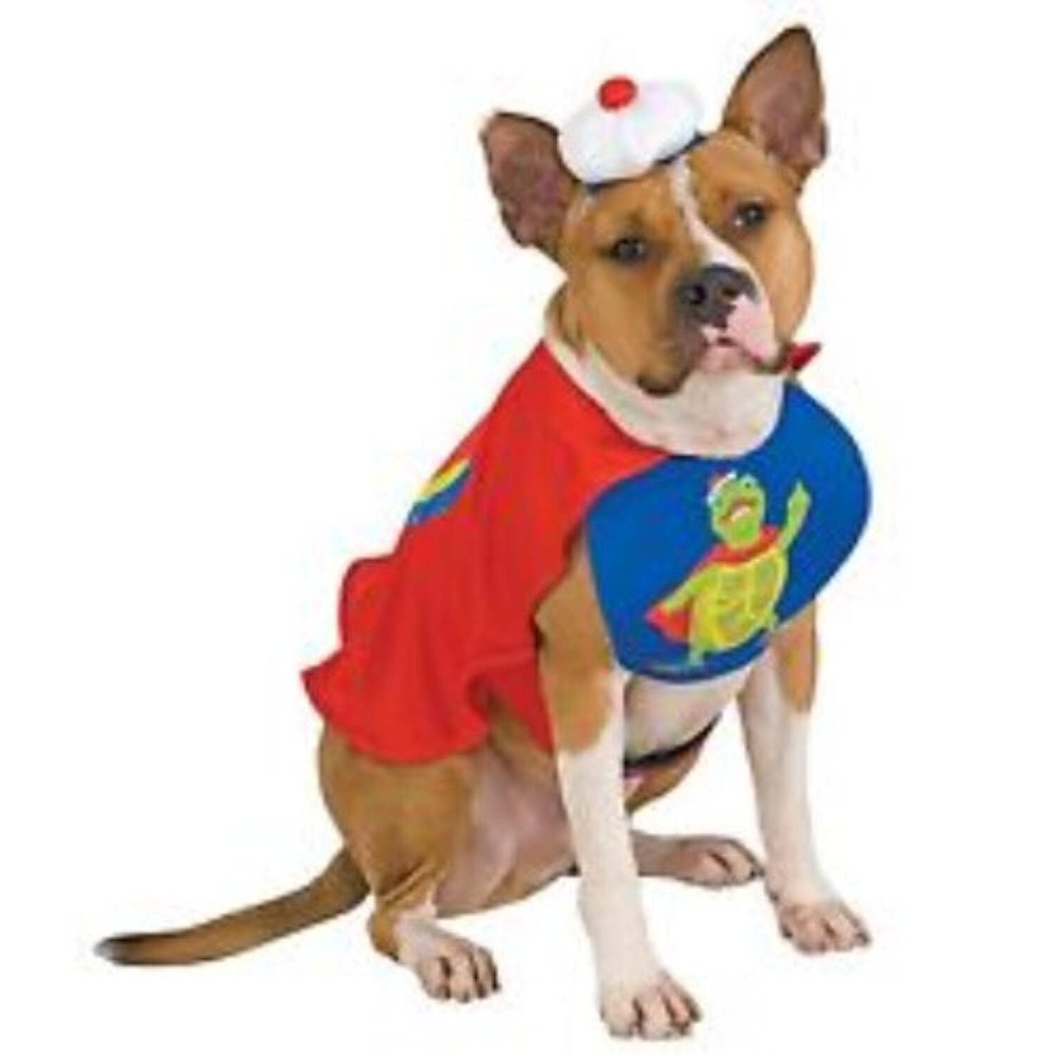 Wonder Pets Tuck the Turtle Dog Costume - Walmart.com