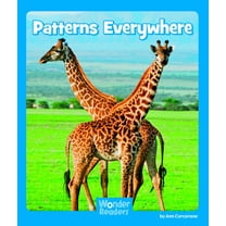 Phonics Bingo: Long & Complex Vowels: 10 Reproducible Games to Build ...