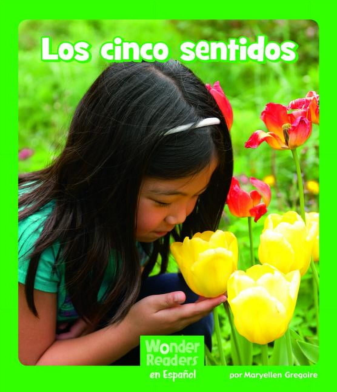 Wonder Readers Spanish Early Los Cinco Sentidos, (Paperback) - Walmart.com