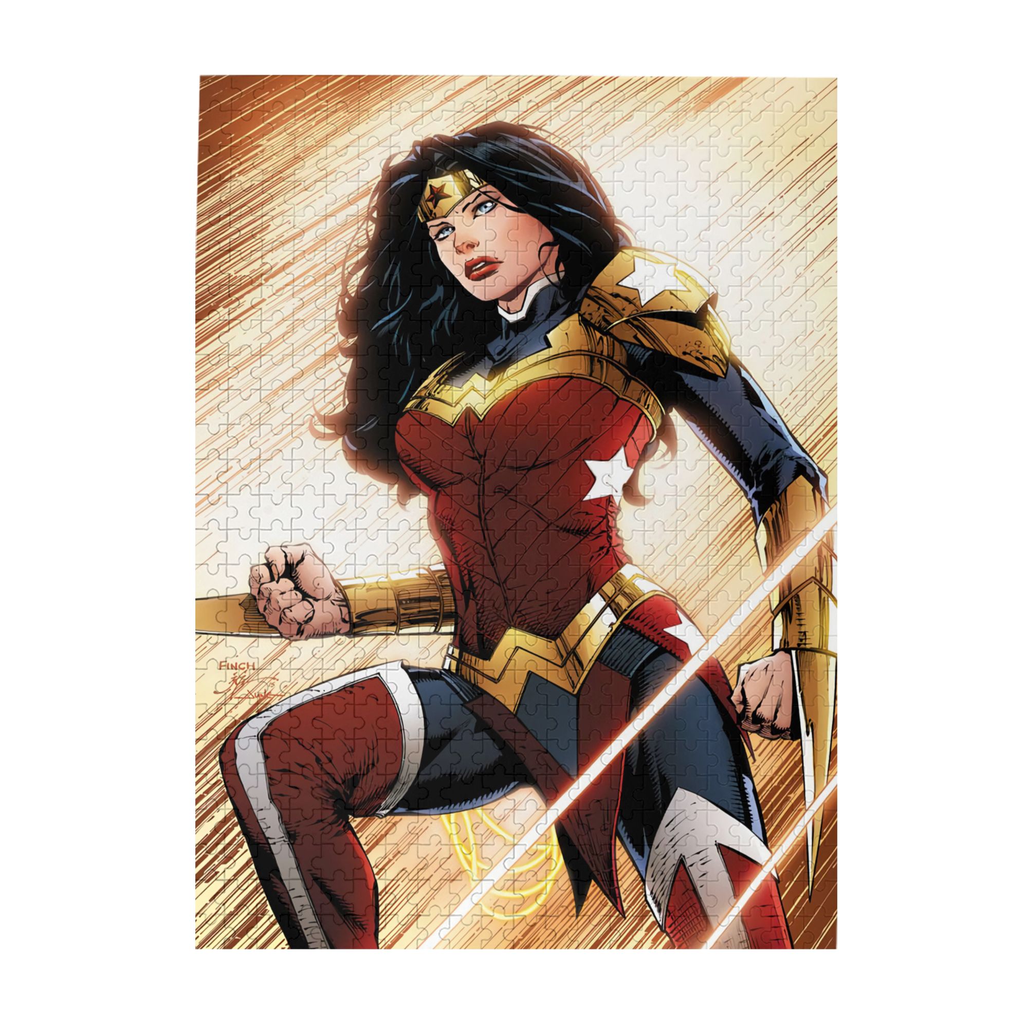 Wonder Woman 1000 Piece Jigsaw Puzzle for Adults Kids, Challenging ...