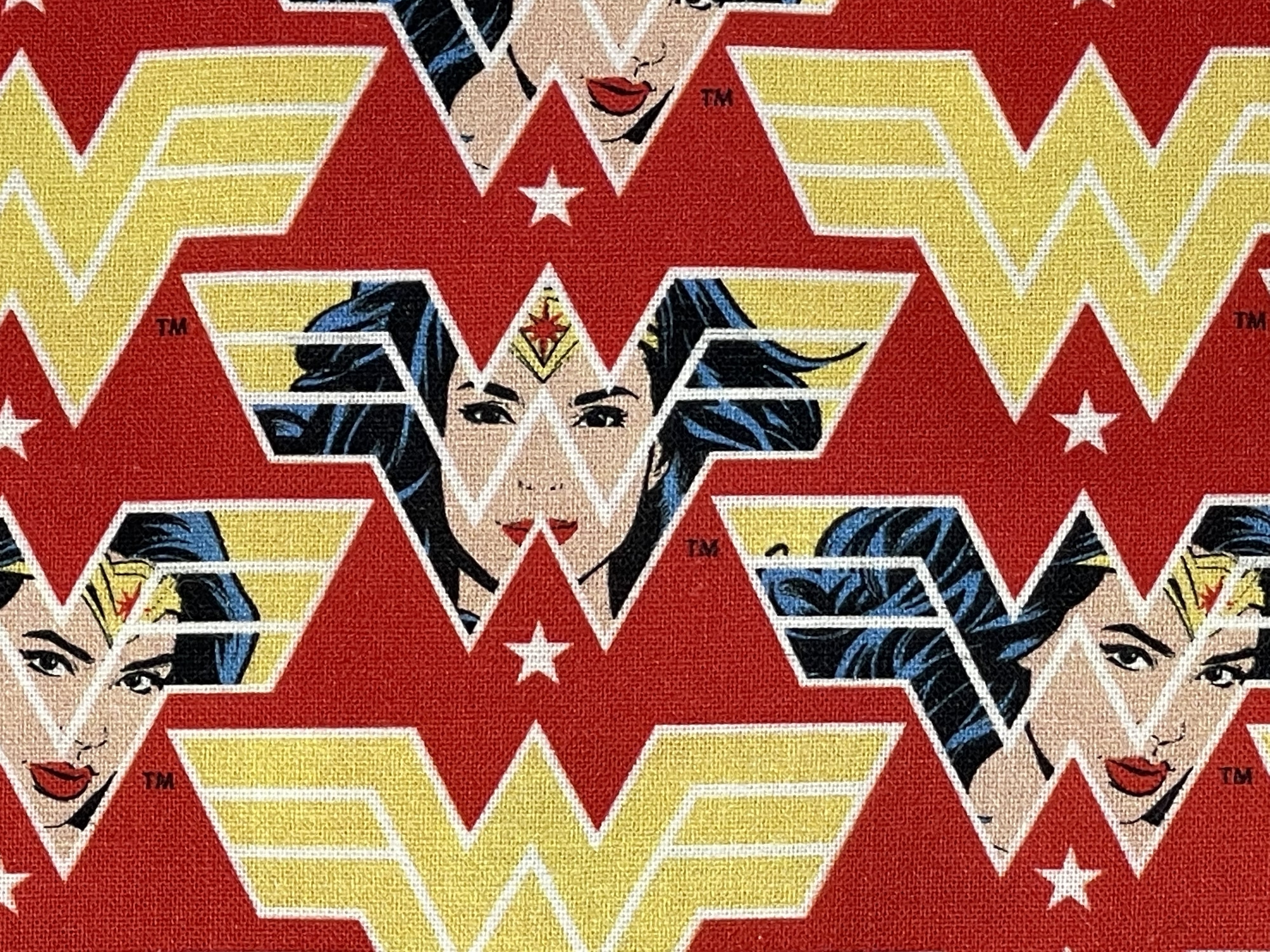 Wonder Woman WW84 Face Crop Fabric - Walmart.com