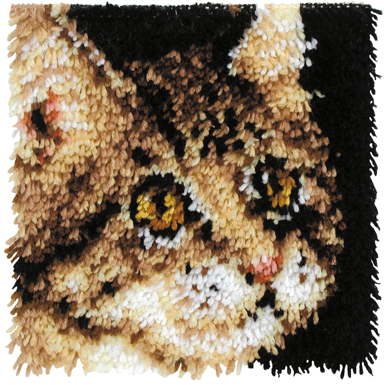 WonderArt® 12" x 12" Latch Hook Kit, Tabby, Acrylic Yarn Cotton Canvas ...