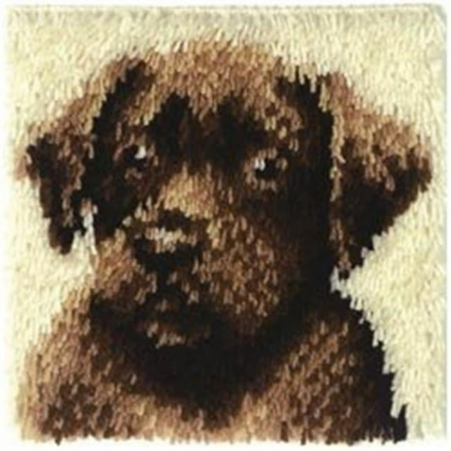 Wonderart Latch Hook Kit 12"X12"-Chocolate Dog - Walmart.com